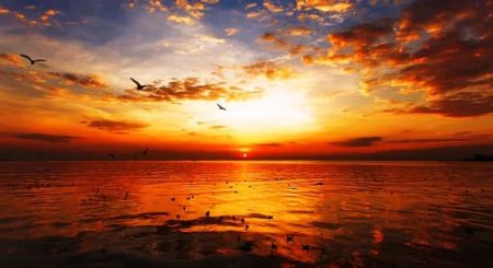 Barisan Kata Kata Sunset, Caption Singkat Menyambut Senja Hari - Bangkit